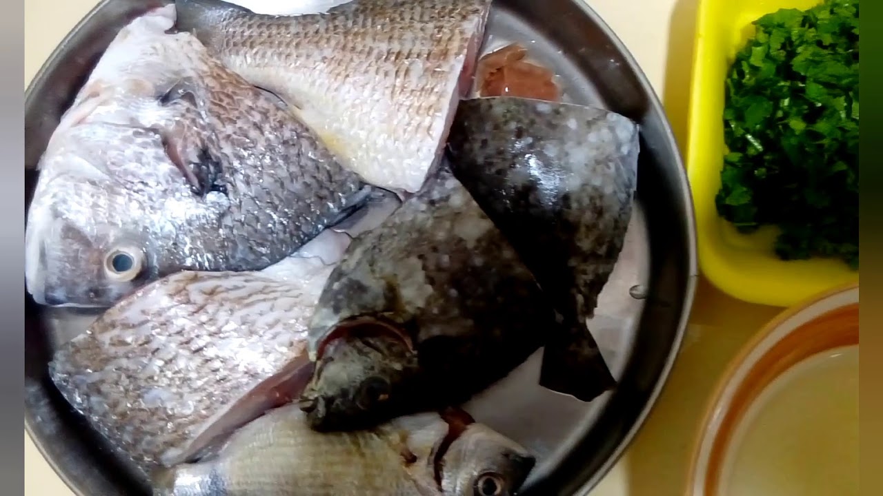 How to cook Simple tastiest stew fish (Cocido), Catch and Cook - YouTube