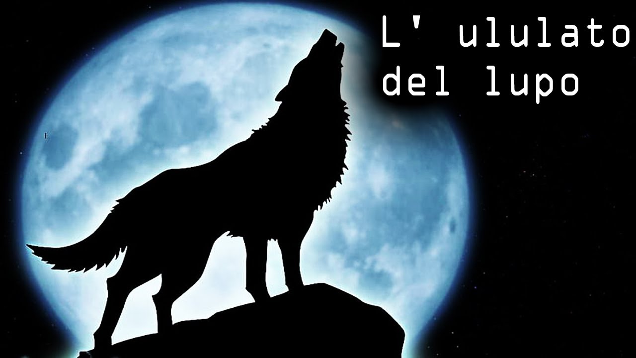 L' ululato del lupo - YouTube