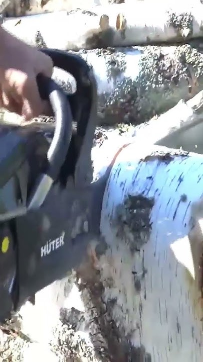 Huter bs-62 пилим березу... - YouTube