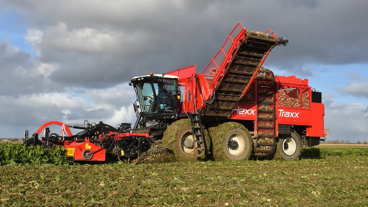 Agrifac Hexx Traxx - Loonbedrijf Van Hal - bieten rooien - YouTube