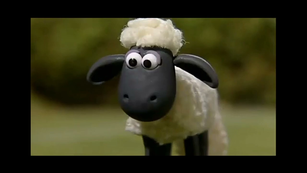 Shaun The Sheep Timmy In A Tizzy Speed Up Slow GoTube - YouTube