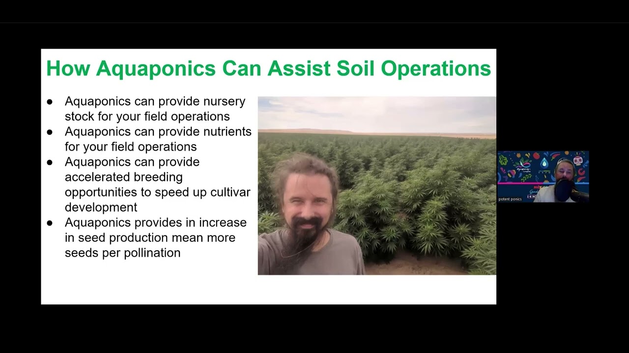CANNAPONICS CONFERENCE PRESENTS STEPHEN RAISNER - YouTube