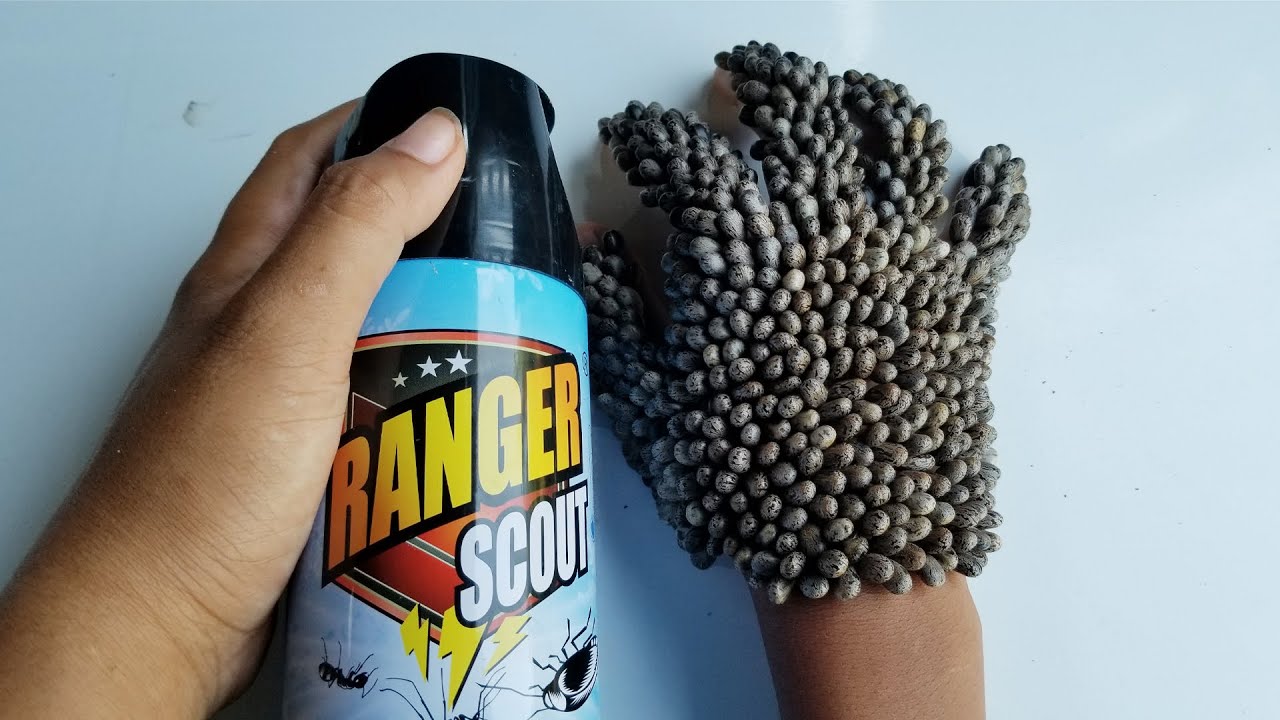 [Millions ticks] Let's remove a millions ticks on hand using RANGER ...