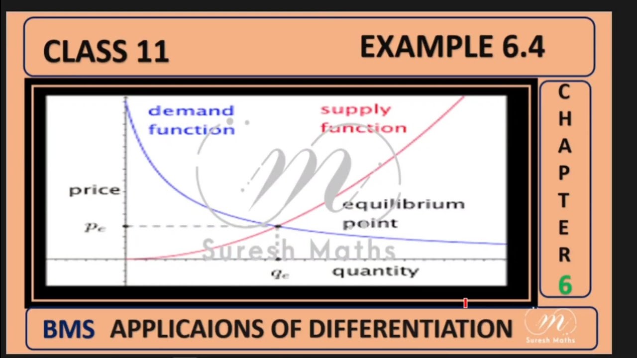 EXAMPLE 6.4 - CLASS 11 - BMS - COST FUNCTION - Ch 6- APPLICATIONS OF ...