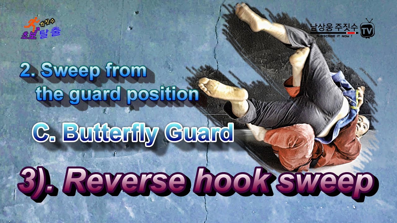 [주짓수] 버터플라이가드 리버스 훅 스윕 - Butterfly Guard Reverse hook sweep (Jiu jitsu ...