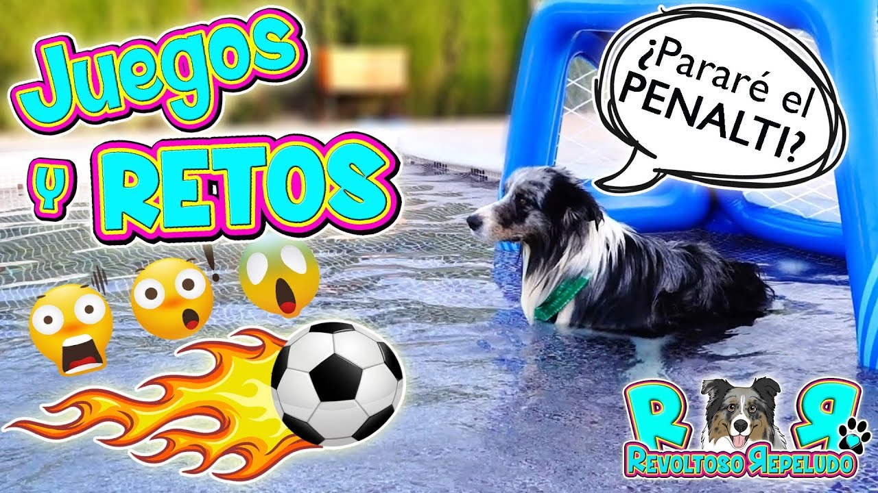 JUEGOS y RETOS en la PISCINA Challenge 🐾 Gano todas las pruebas. Risas ...