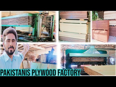 A visit to Pakistan's Plywood factory in Hattar KPK ||Ham NY plywood ...
