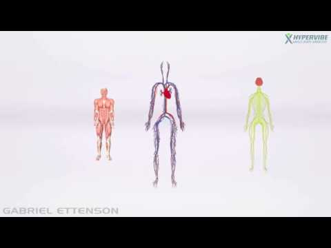 Whole Body Vibration Training Explained - YouTube