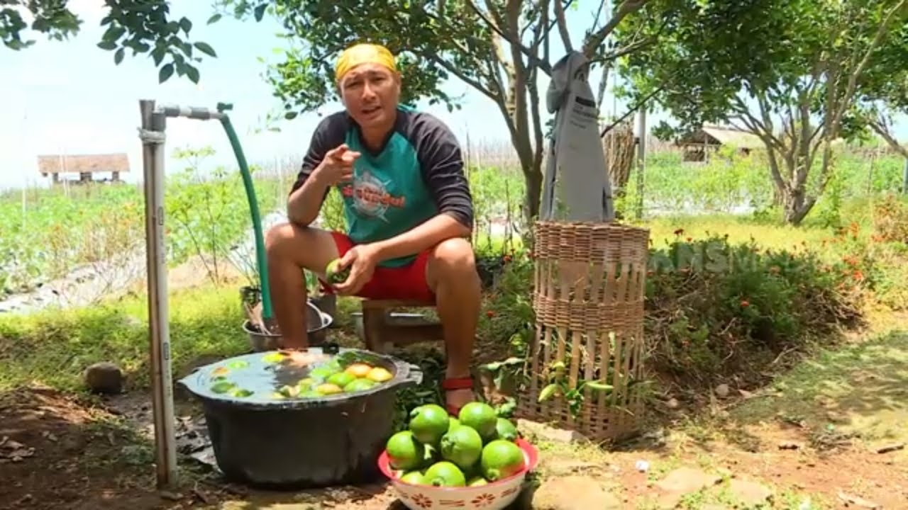 HUNKWE JERUK DEKOPON | JEJAK SI GUNDUL (17/11/23) - YouTube