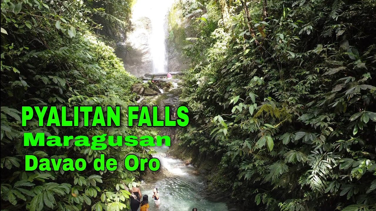 ROAD TRIP TO PYALITAN FALLS / THE HIGHEST FALLS IN MARAGUSAN DAVAO DE ...