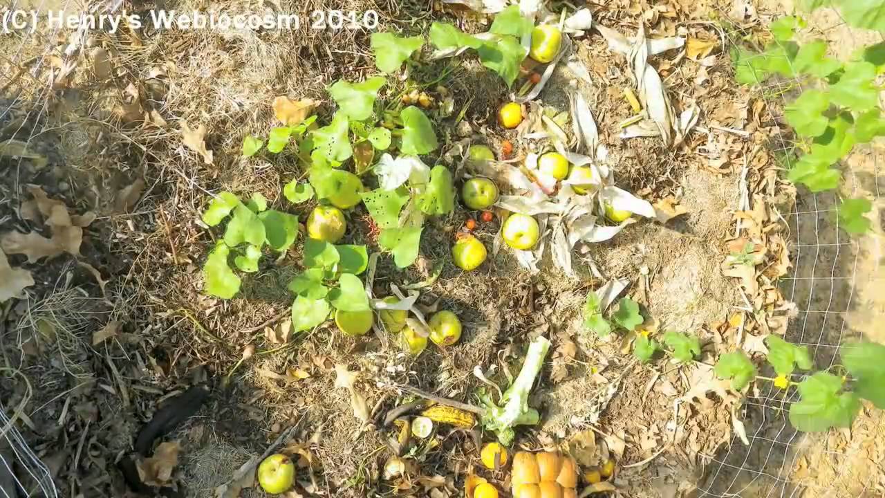 Compost Cam Time-lapse - Preview - YouTube