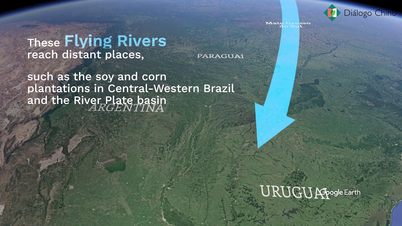 Agro-suicide: Amazon deforestation dries up Brazil's 'flying rivers ...