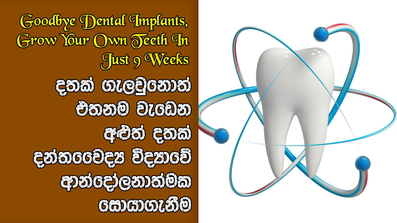 සති නවයෙන් අළුත් දතක් - How to Grow Your Own Teeth In 9 Weeks - YouTube
