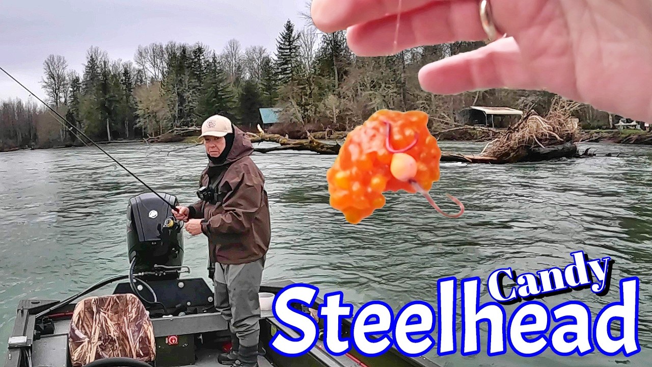 Cowlitz River Steelhead Fishing - YouTube