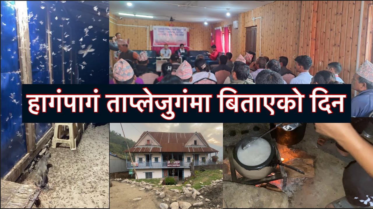 Hangpang Taplejung Ko Gau Dulda Ko Drishya // ChhiChhimira Yesto Po ...