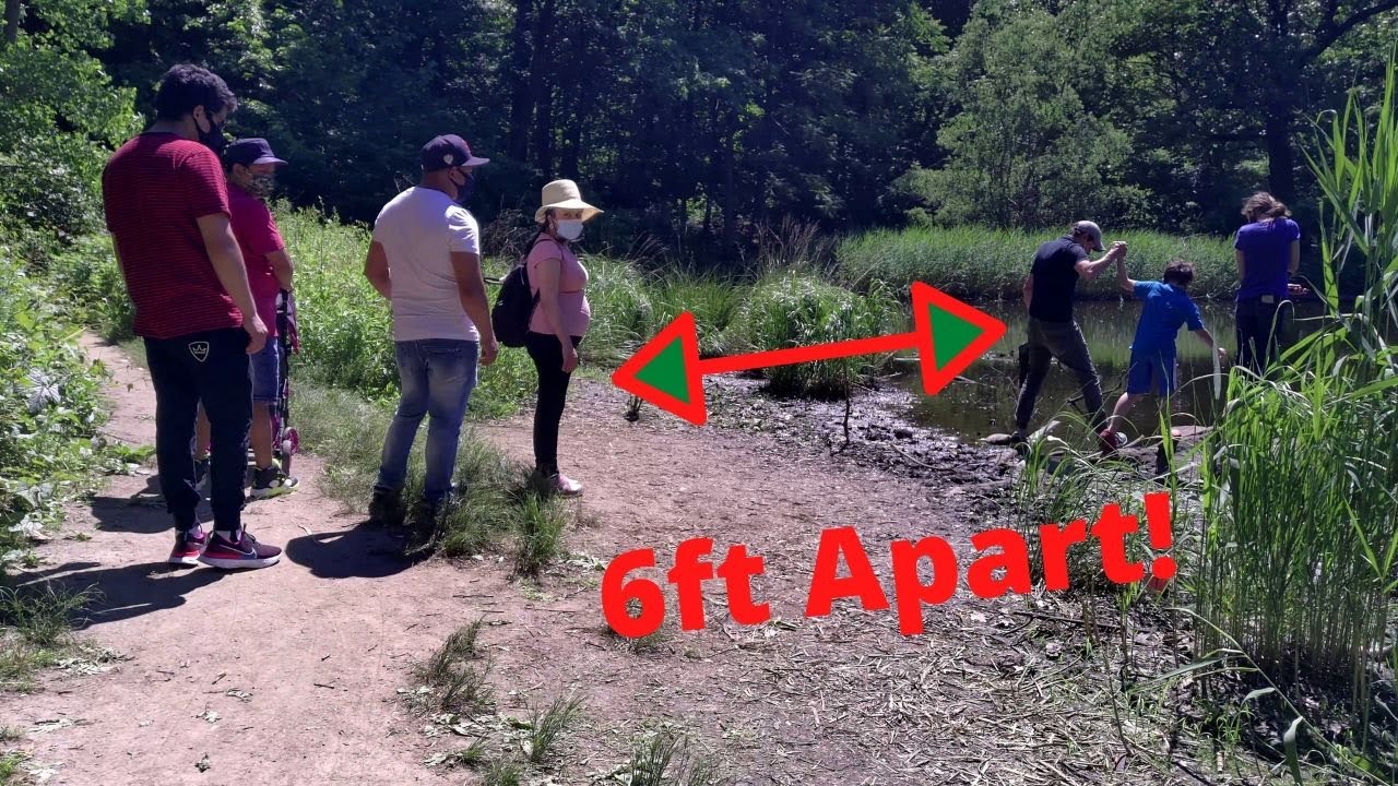 Relax Walk NYC: Forest Park Strack Pond circle (6/13/2020) - YouTube