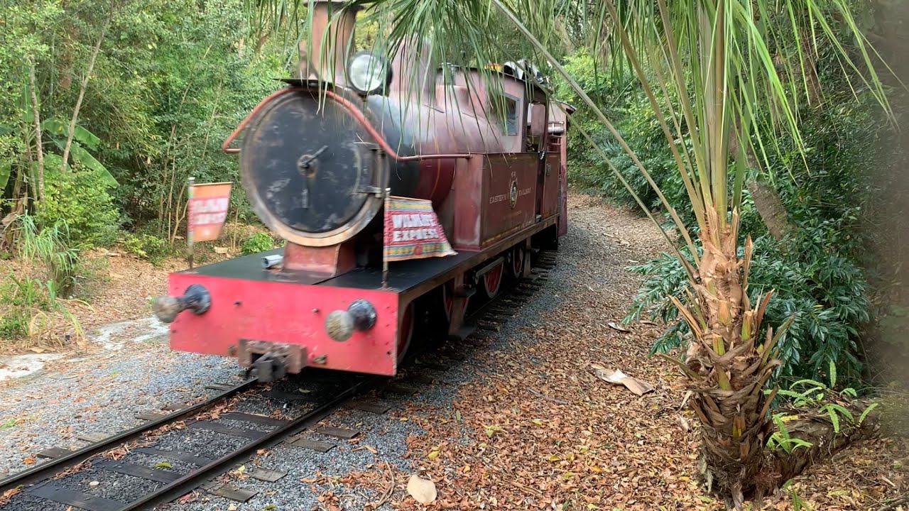 Just for Fun: Riding the Wildlife Express Train at Disney’s Animal ...