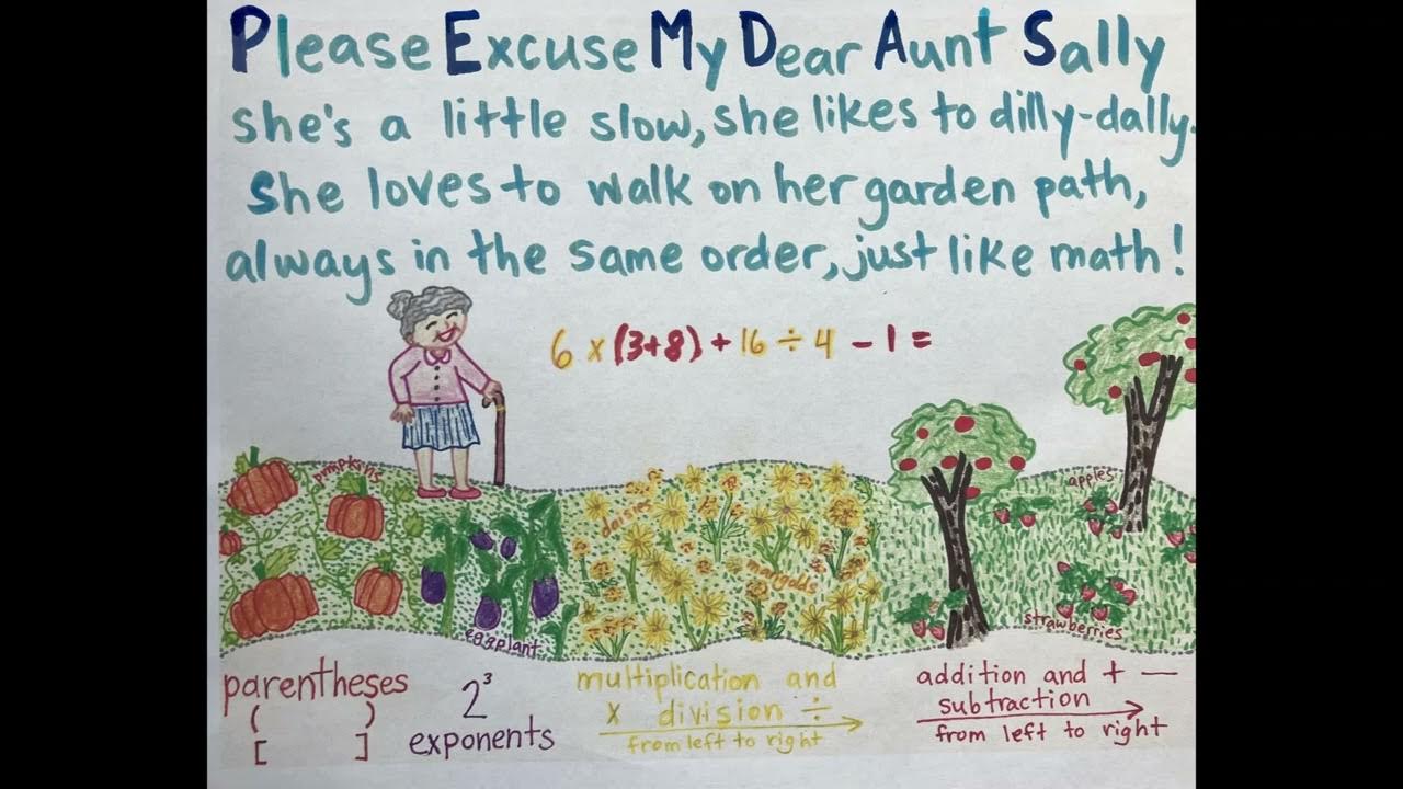 Please Excuse My Dear Aunt Sally - YouTube