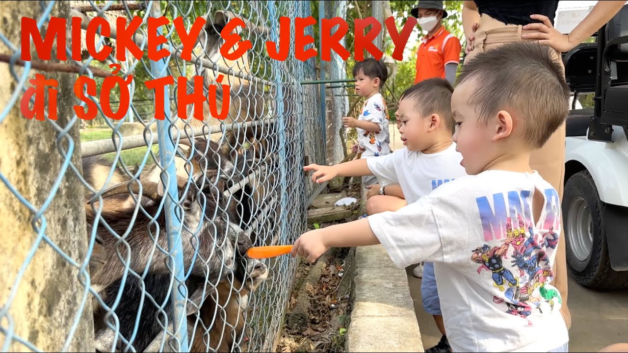 Mickey & Jerry đi SỞ THÚ! | Sara Luu & DKL FAMILY - YouTube