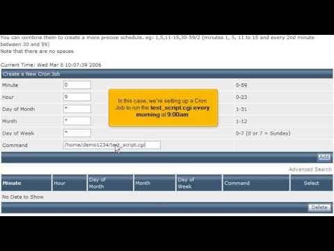 DirectAdmin - How to setup a cron job - YouTube