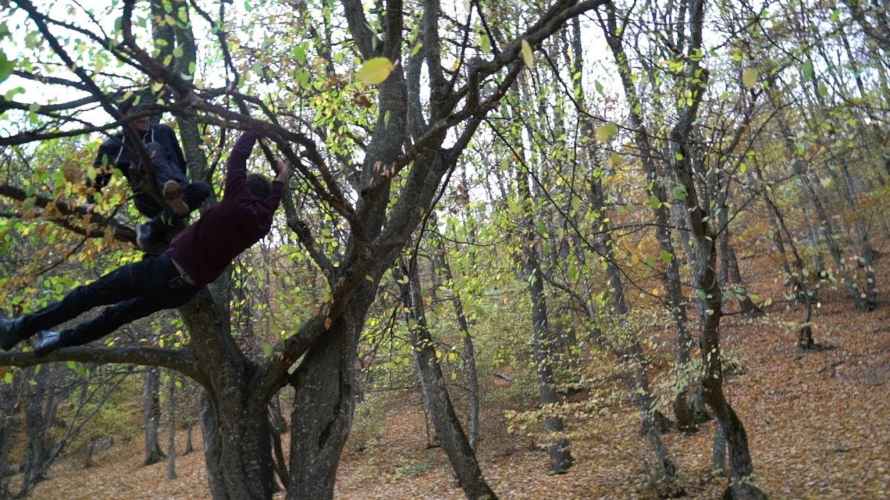 n’Kosove show - Schengen visa -Lulzim Bucolli - YouTube