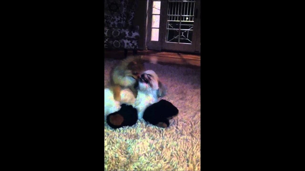 Three way(doggie style) - YouTube