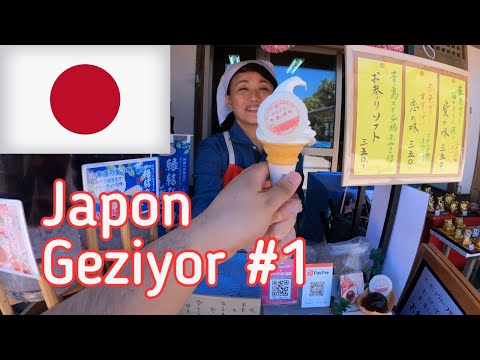 Türkçe Konuşan JAPON'un ilk Gezi Videosu | 🇯🇵Miyazaki | Japon Geziyor #1 #japonya