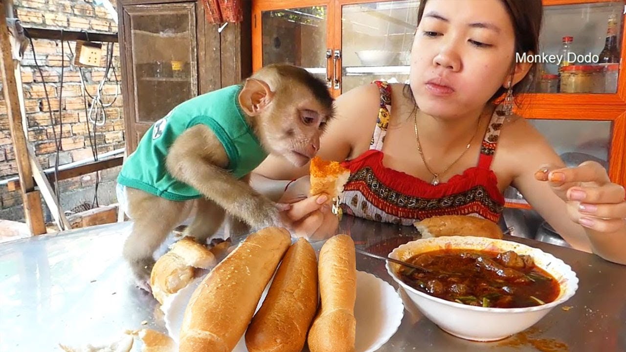 Monkey Dodo!!Dodo Tasty Beef Soup With Bread With Mom - YouTube