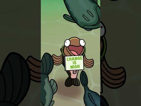 The Chicago Fishpocalypse