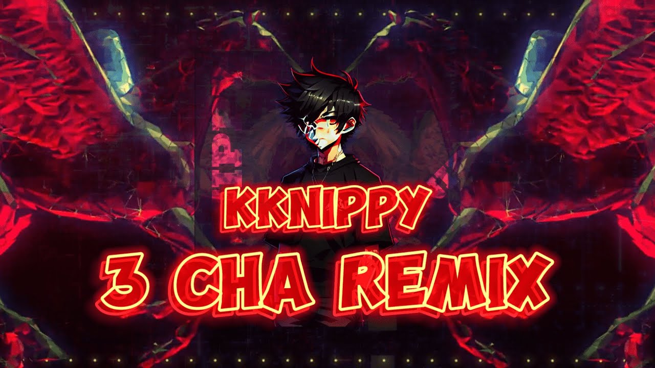 EDM สามช่า รีมิกซ์ - Sam Cha Remix 2024 - Prod.KKNIPPY - YouTube