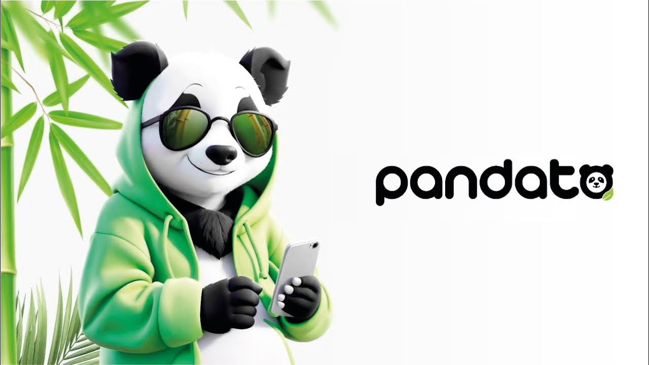 O que acontece quando você compra na Pandato? - YouTube