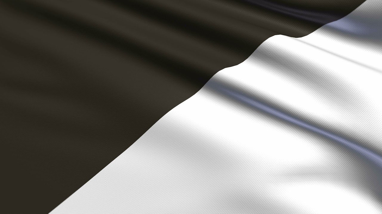Auto Racing F1 Black and White Diagonal Flag Animation | 4k | Flags of ...