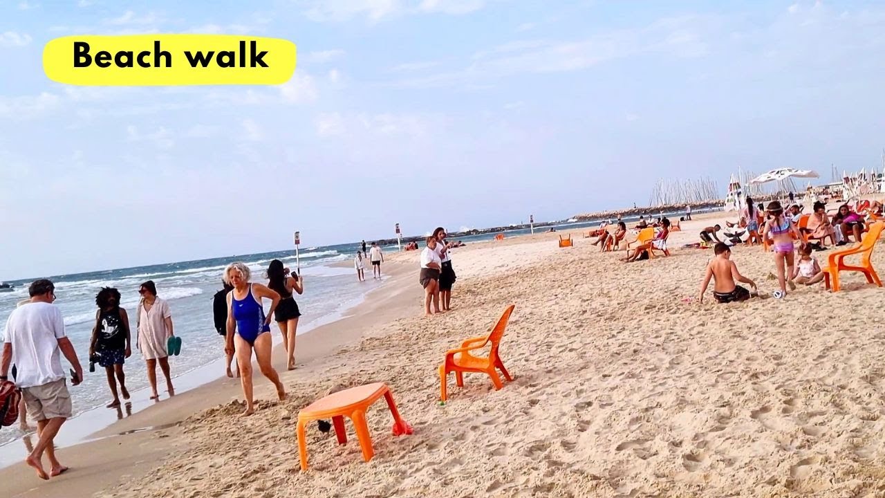 🌞Discovering the wonders: a fascinating walk on the beach - YouTube