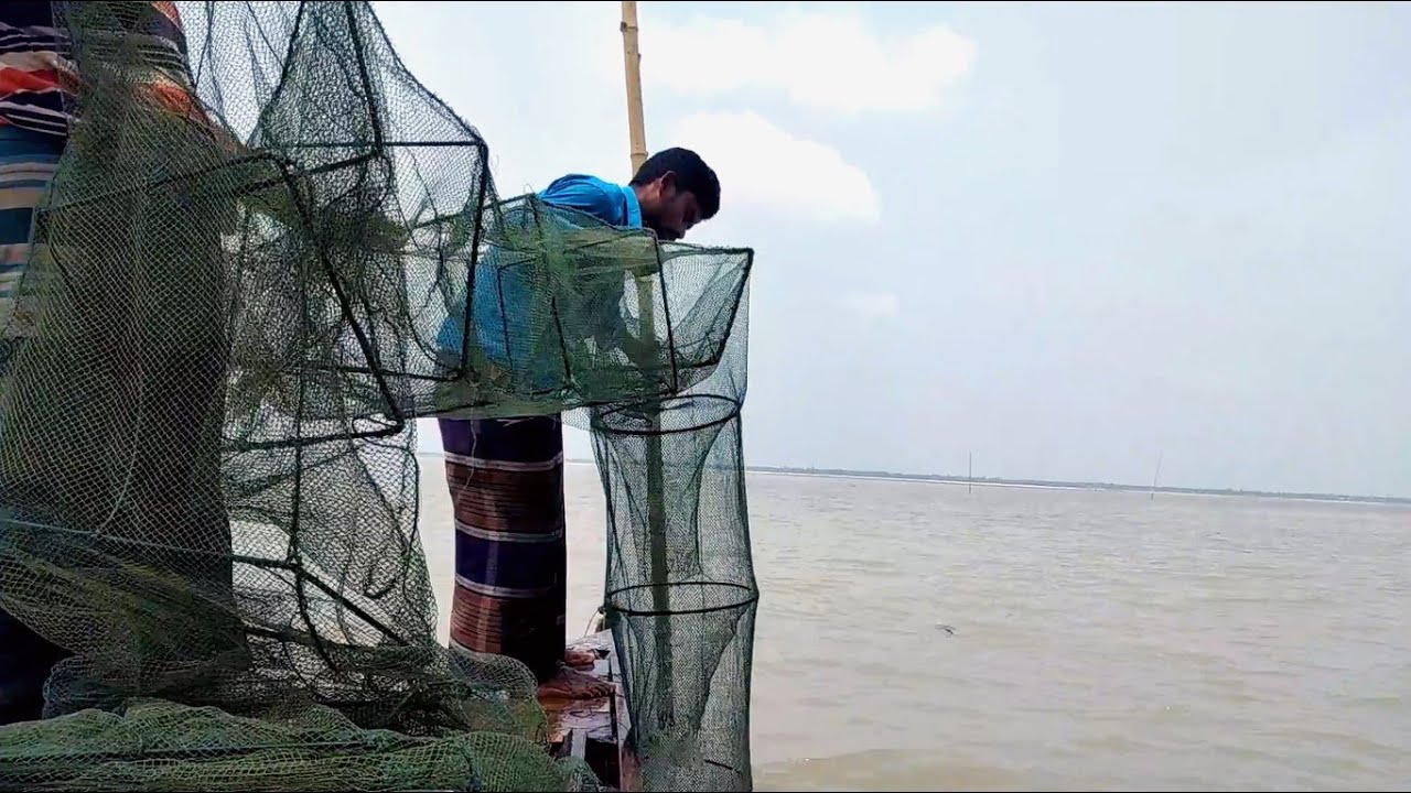Unique Ring Net fishing In Padma River | চায়না দুয়ার জালে মাছ ধরার ...