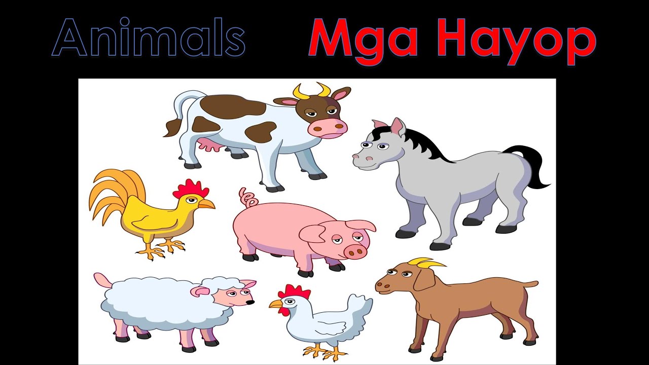 English to Tagalog Names of Animals [Teacher Cha]Vocabulary - YouTube