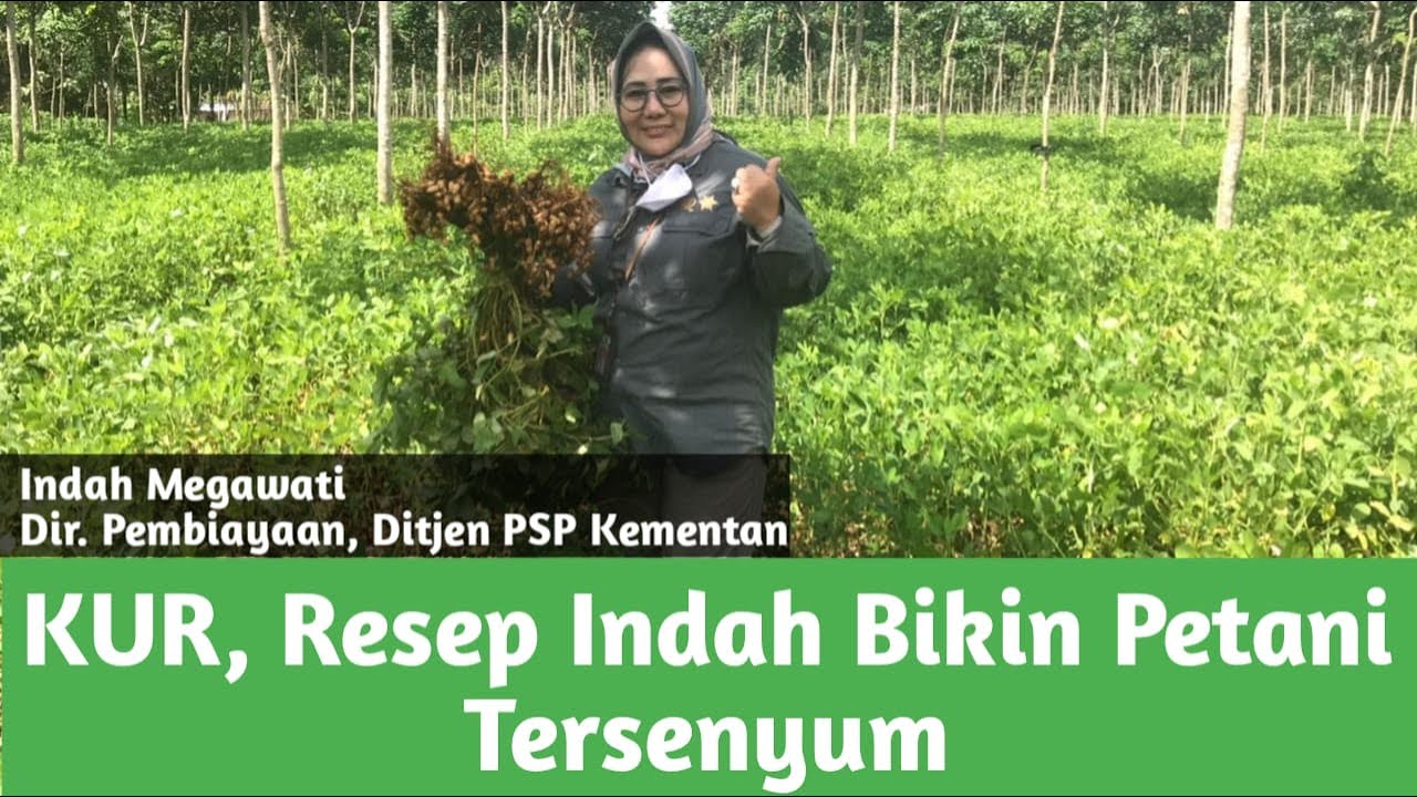 Kementan Dorong KUR, Petani Bergairah-Indah Megawati, Direktur ...