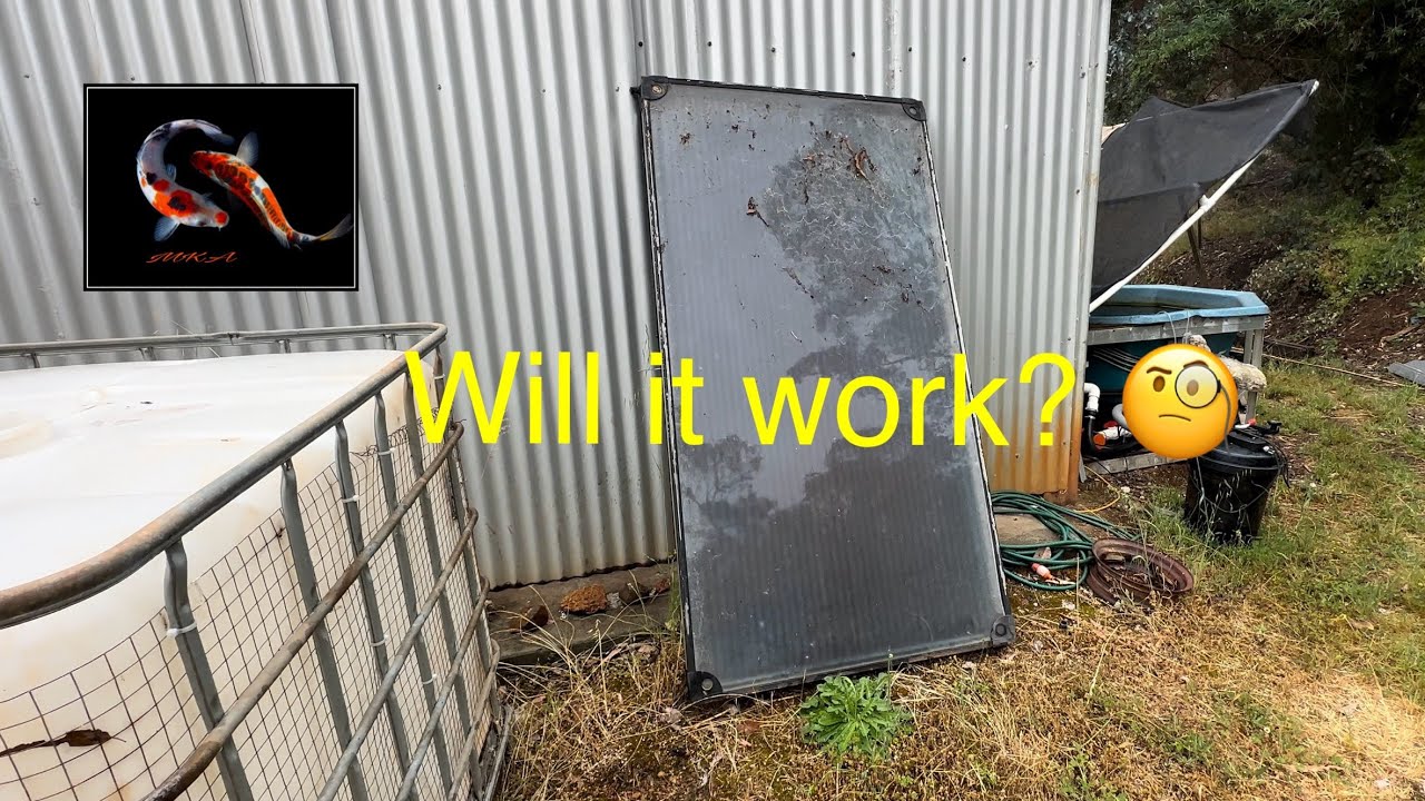 Upcycling and making a solar heater for the koi spa #koi #pondlife #diy ...