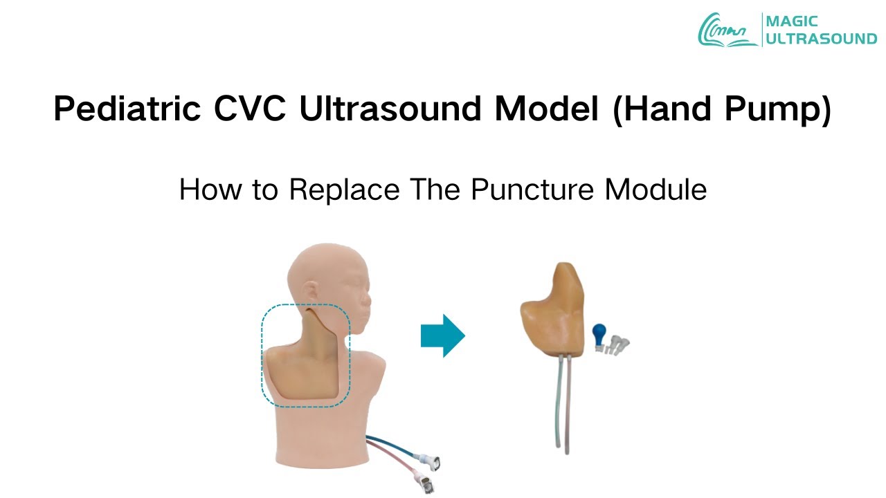 How to Replace The Puncture Module_Pediatric CVC Ultrasound Model (Hand ...
