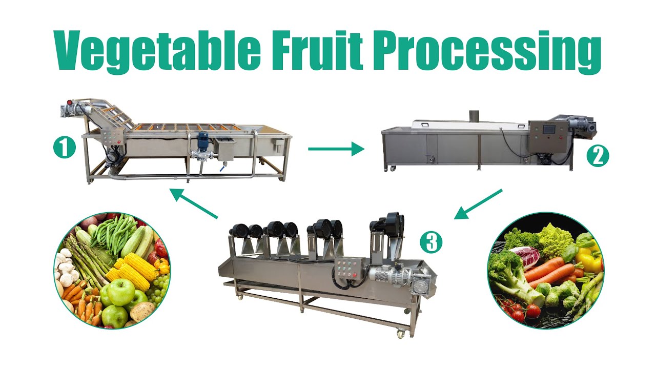 vegetable fruit processing machine manufacturer - YouTube