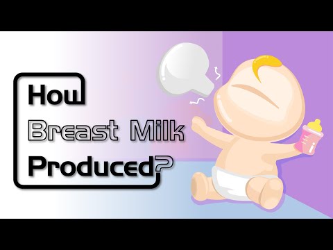 【xM's Book】Is breast milk made from the mother's blood?