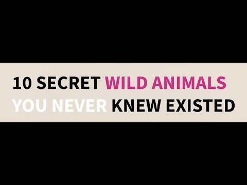 10 Secret Wild Animals You Never Knew Existed! - YouTube