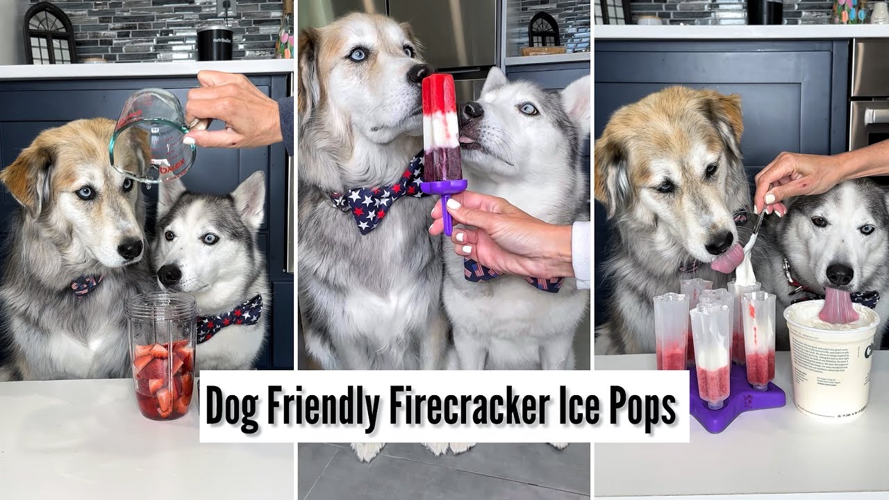 Dog Friendly Firecracker Ice Pop Recipe - YouTube