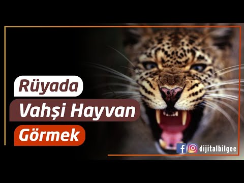 Rüyada vahşi hayvan görmek ne anlama gelmektedir ? | Neye işarettir ?