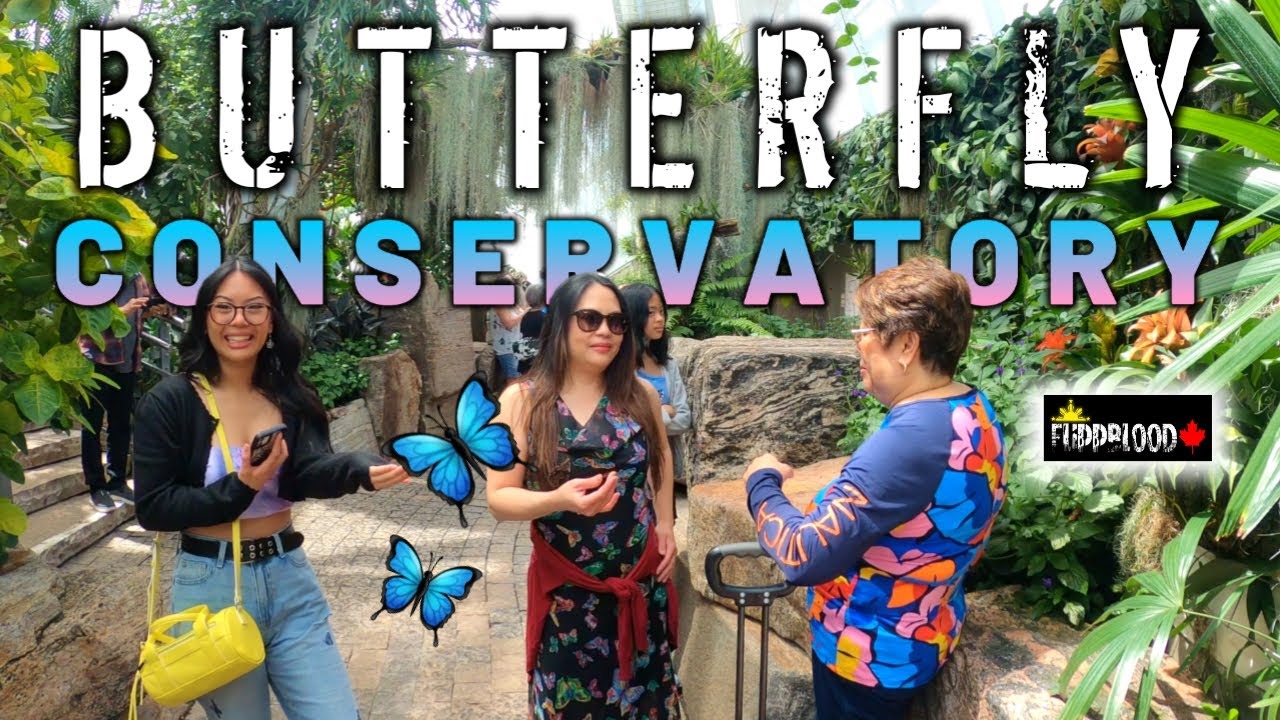 A Trip to BUTTERFLY Conservatory || Niagara Parks || Niagara Falls ...