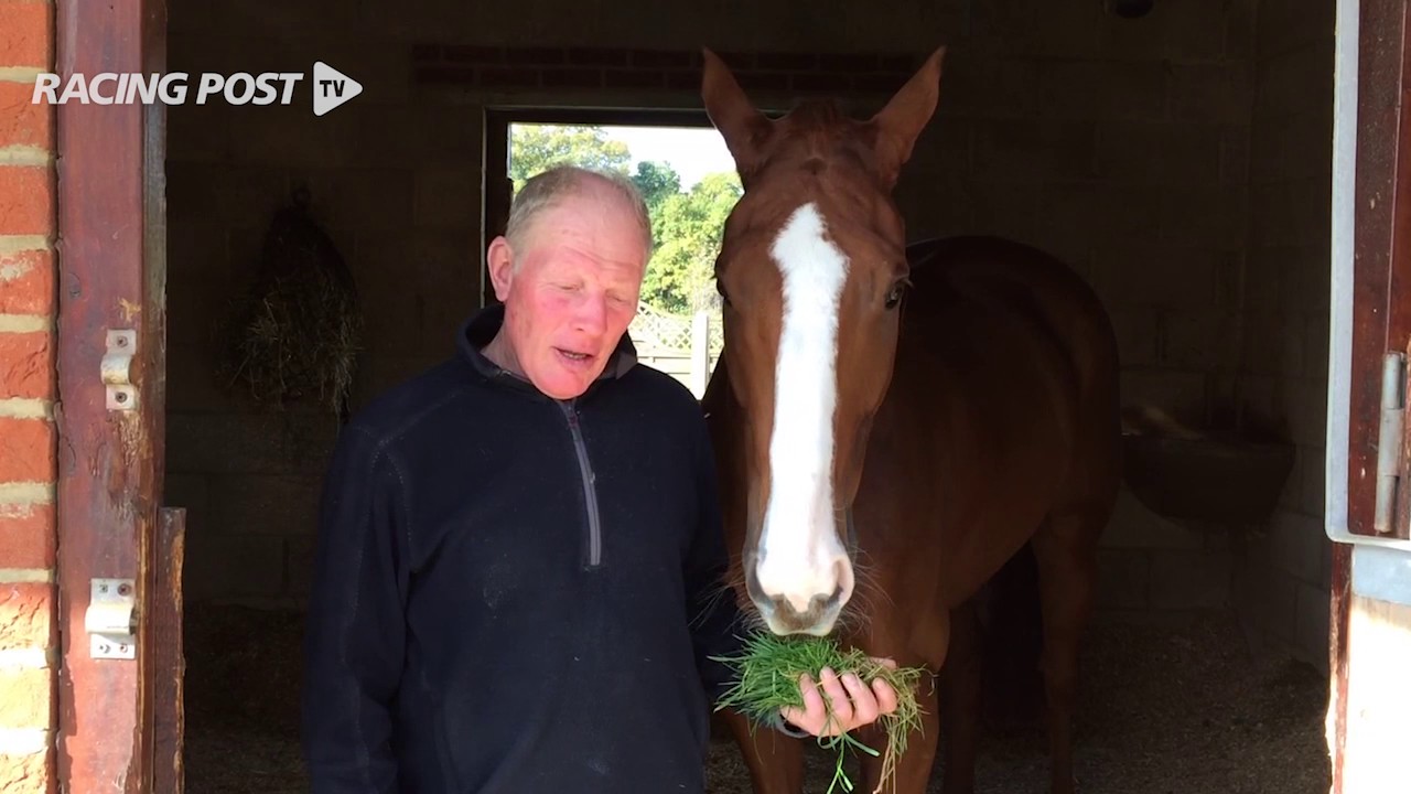 Coming Up: Gary Moore Stable Tour - YouTube