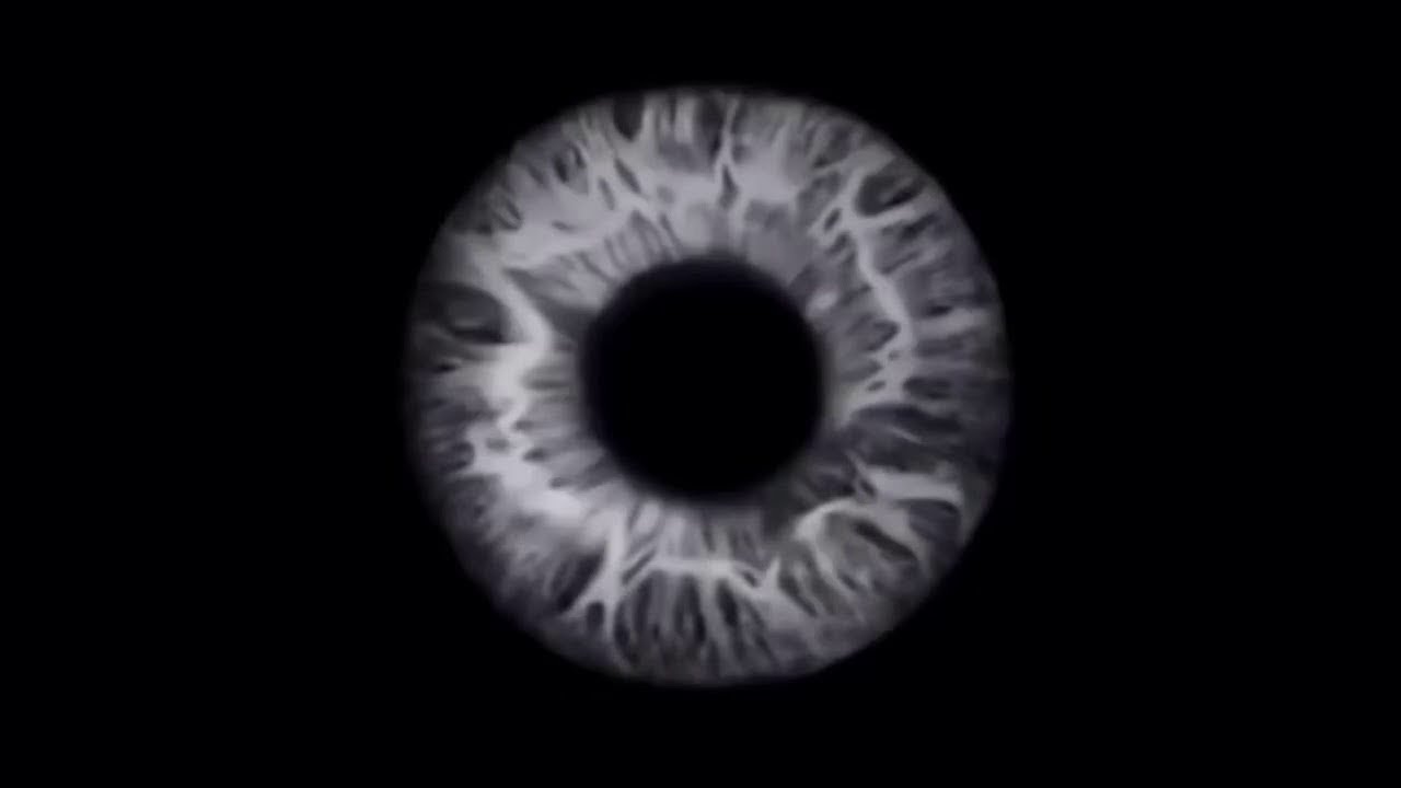 Gorillaz - Souk Eye [Music Visuals] (REVERSED) - YouTube