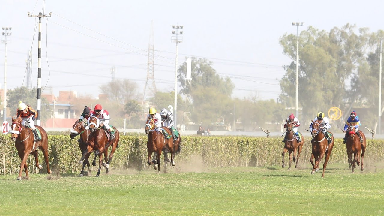 5th Race The National Breeders Cup Distance 1400 Meters Winner Dila ...