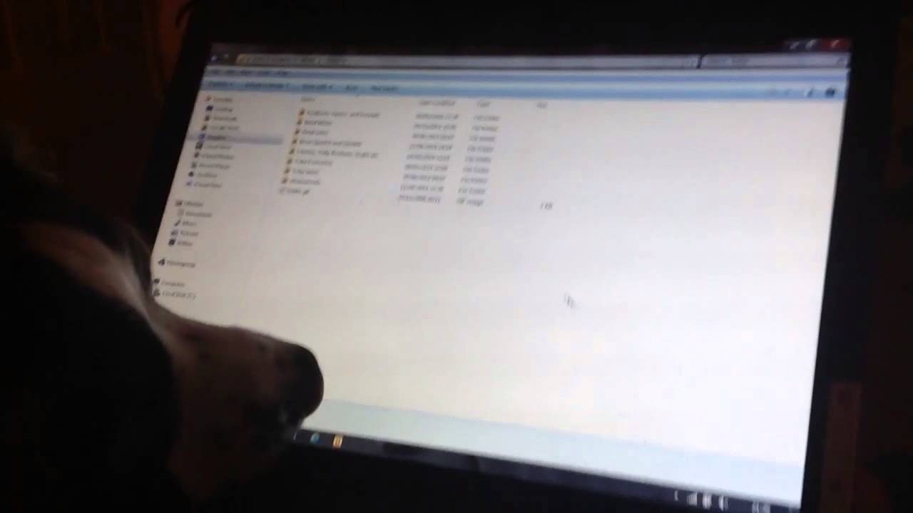 Dog vs mouse (cursor) - YouTube