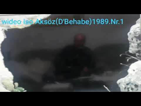 Enhil Wideo iso Aksöz (D'Behabe)1989.Nr1