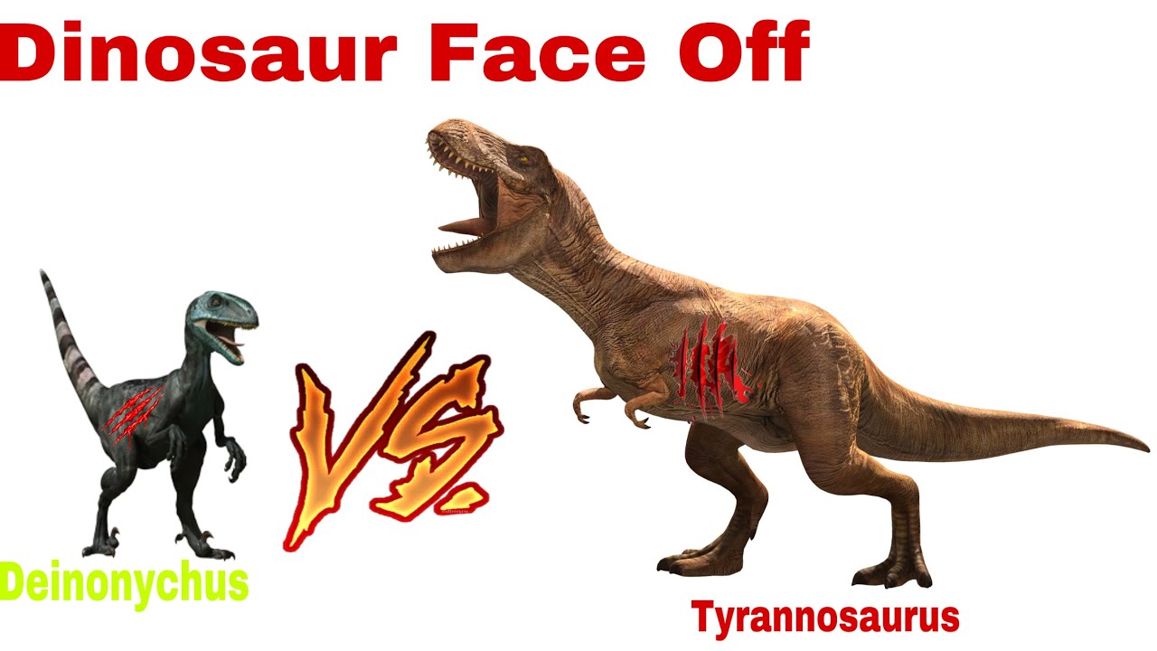 Deinonychus Vs Tyrannosaurus